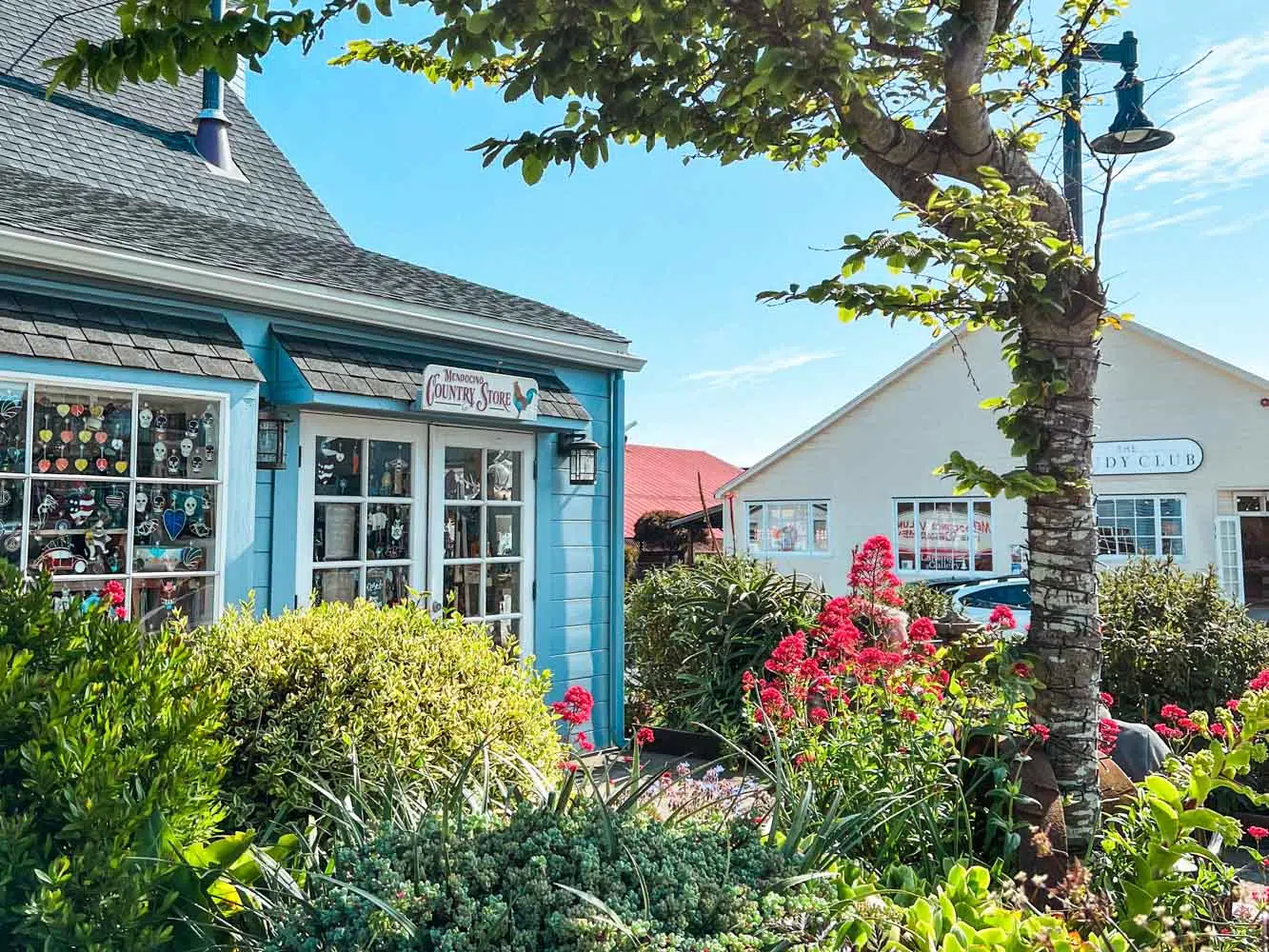 18 reasons to love Mendocino, California