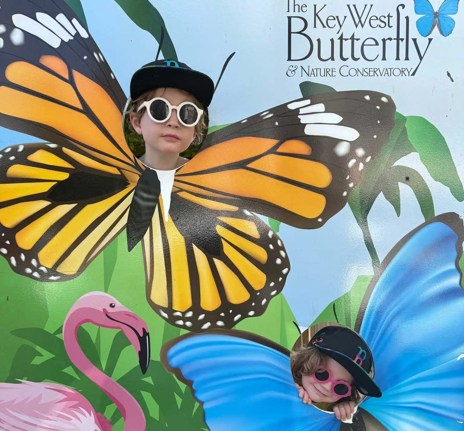 17 unmissable things to do in the Florida Keys with kids