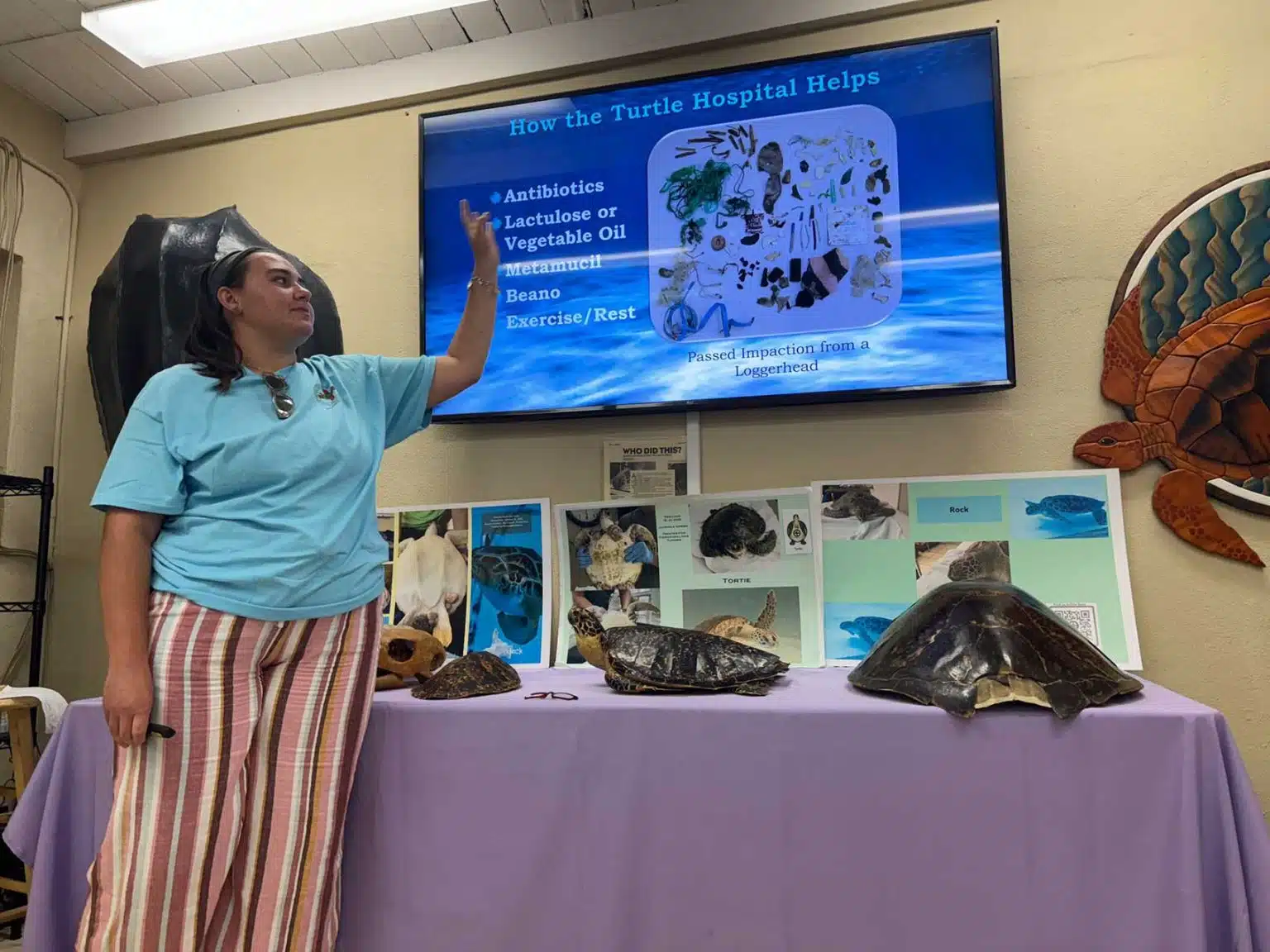 17 unmissable things to do in the Florida Keys with kids