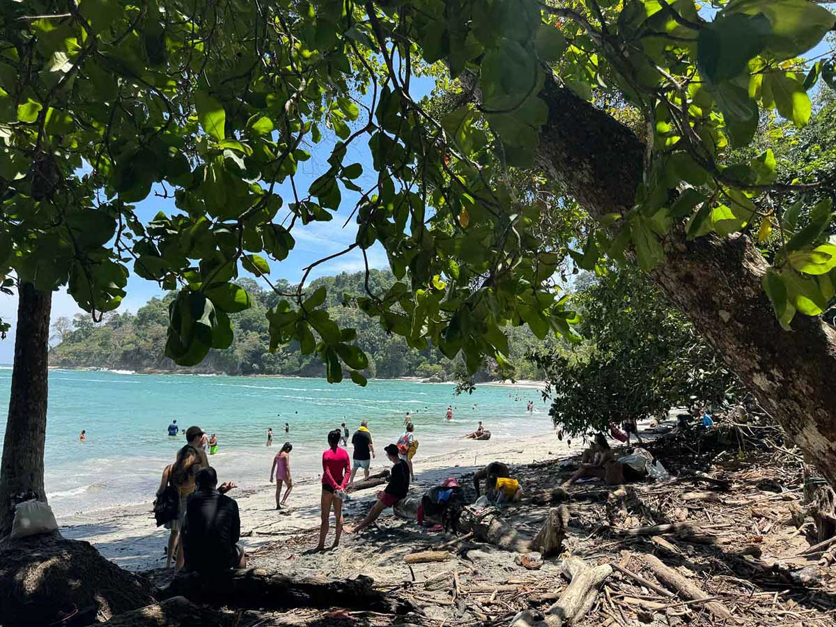 Things to do in Manuel Antonio (with kids or without)